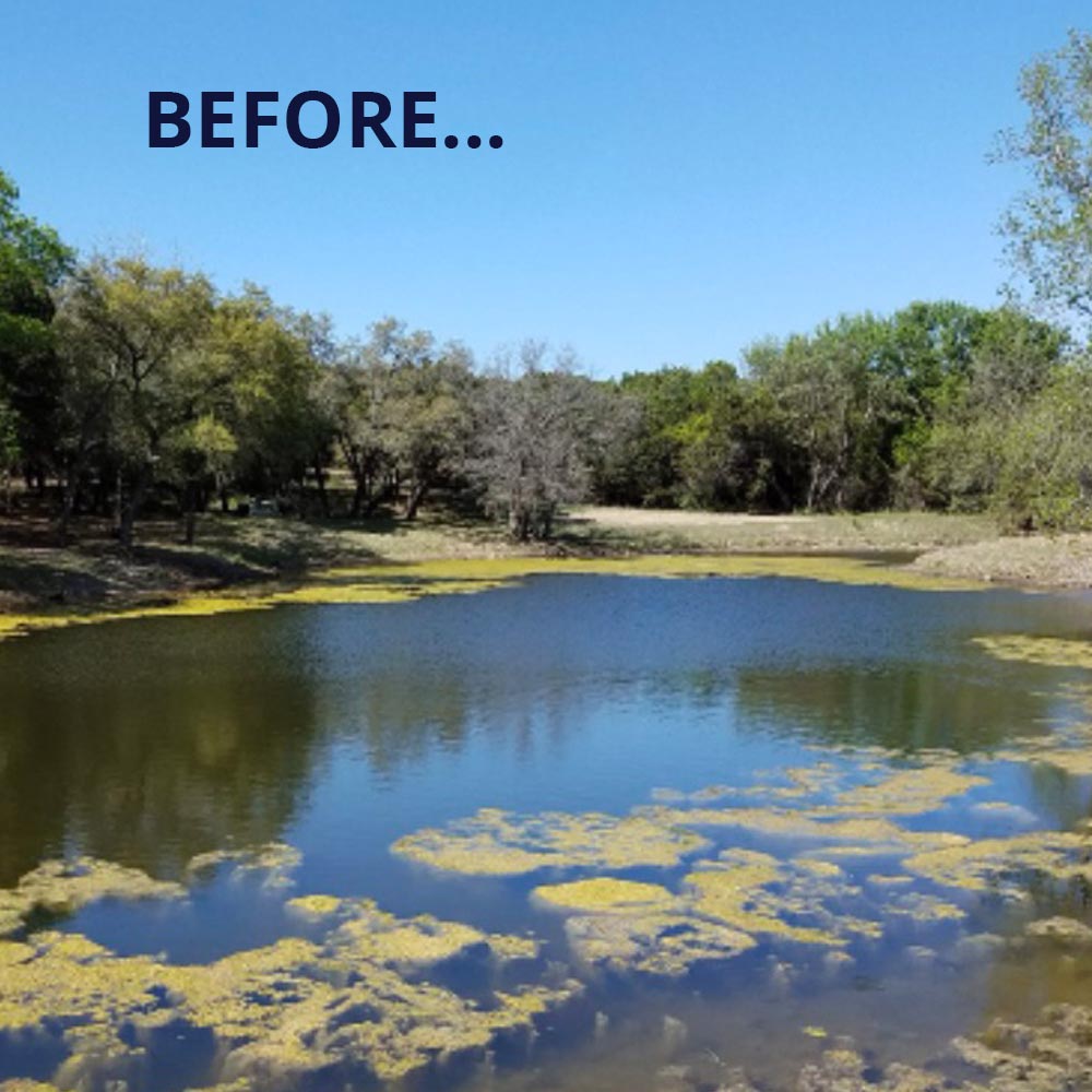 Nature's Pond Conditioner | Fishkit ltd